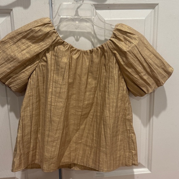Zara | Shirts & Tops | Elegant Gold Puff Sleeve Top | Poshmark